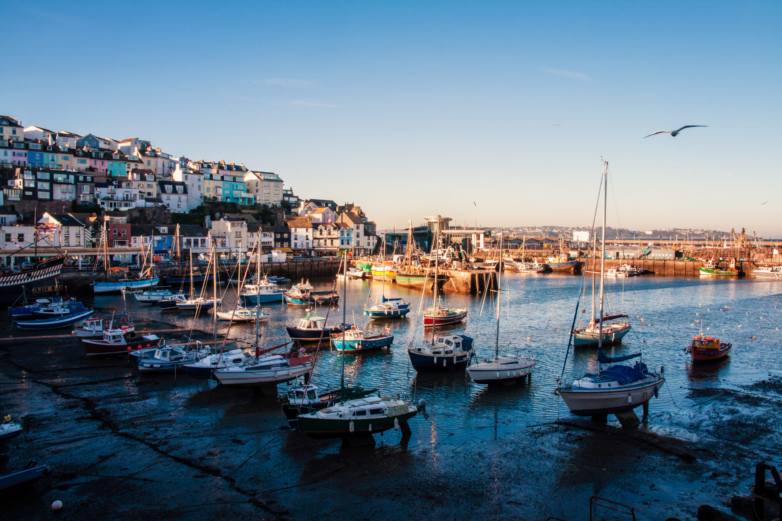 Spring Holidays In Devon, Book Spring Holidays To Devon Now!
